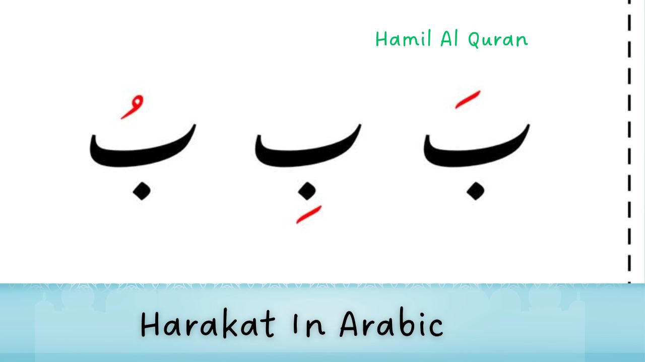 Madd And Harakat In Arabic Language - A Comprehensive Guide - Hamil AlQuran